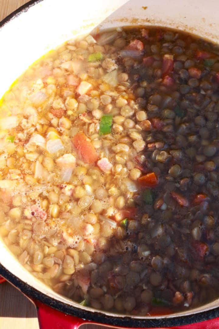 Mexican Lentil Soup (Sopa de Lentejas)