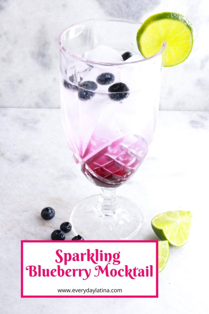 Refreshing Blueberry Mocktail