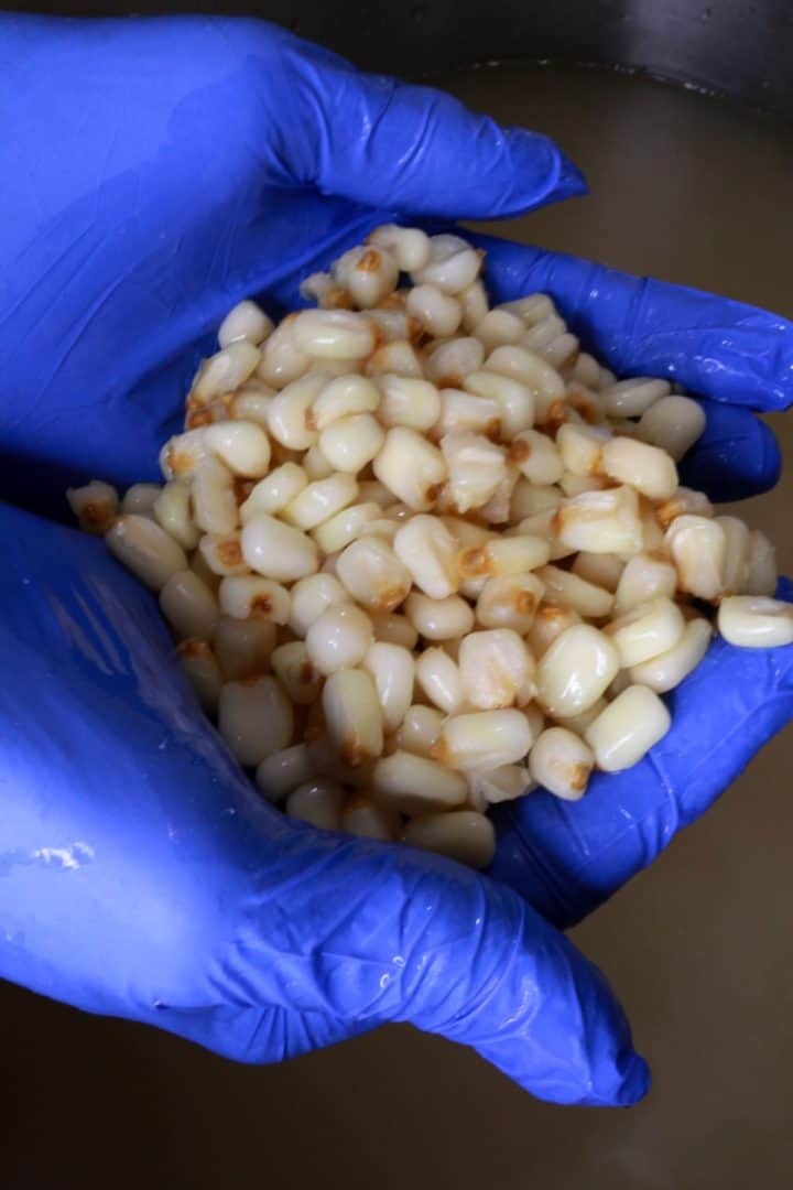 How to Nixtamalize Corn for Tamales